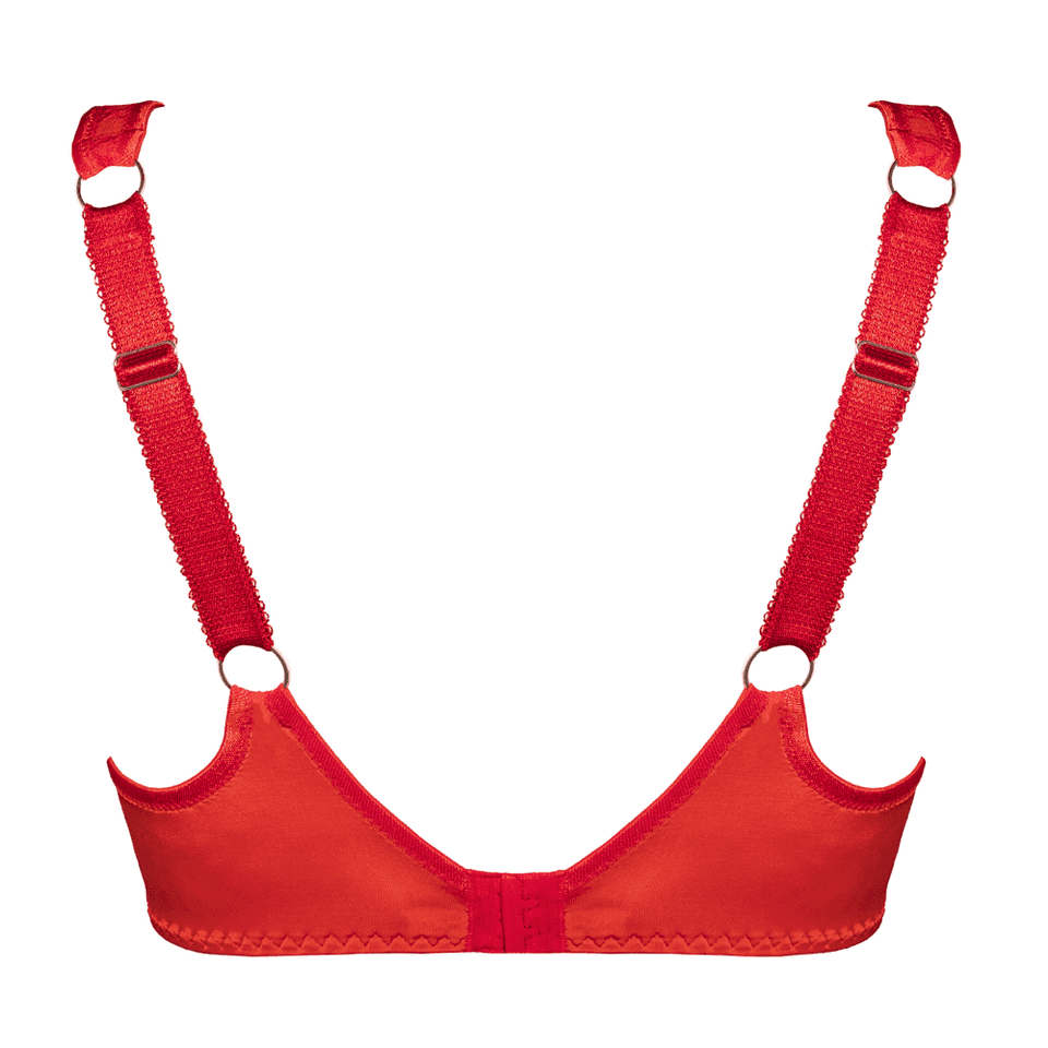 Monica red bra – yesUndress